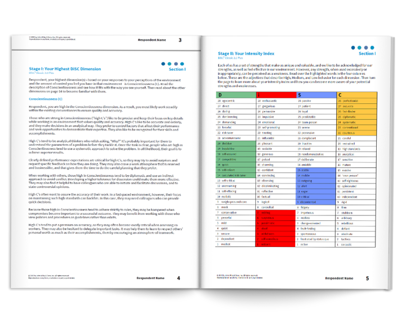 DiSC Classic 2 Plus - Droste Group
